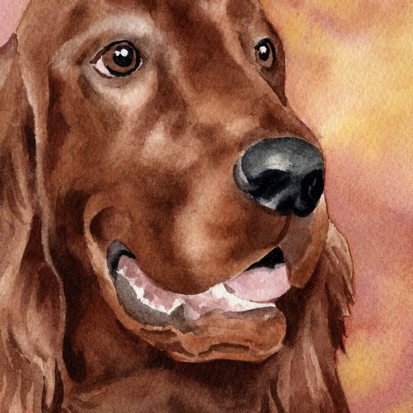 Irish Setter Art - Etsy