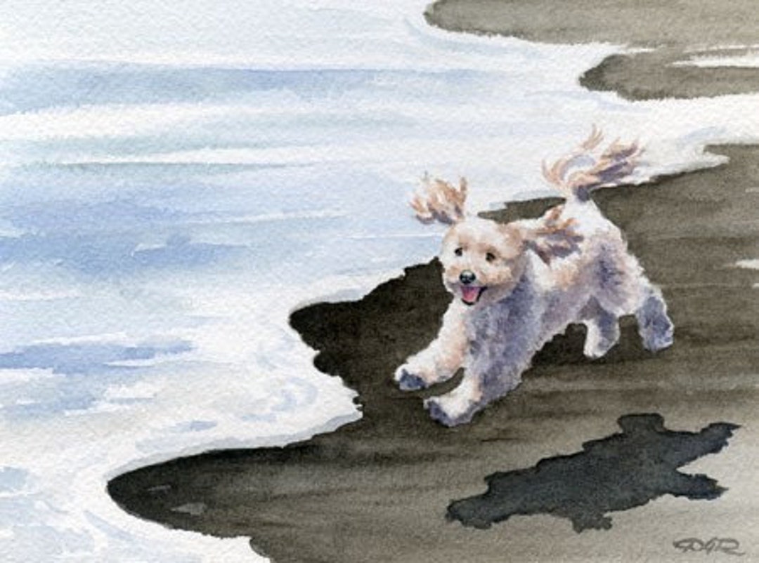 COCKAPOO Art Print "cockapoo at the Beach" by Watercolor Artist DJ ...