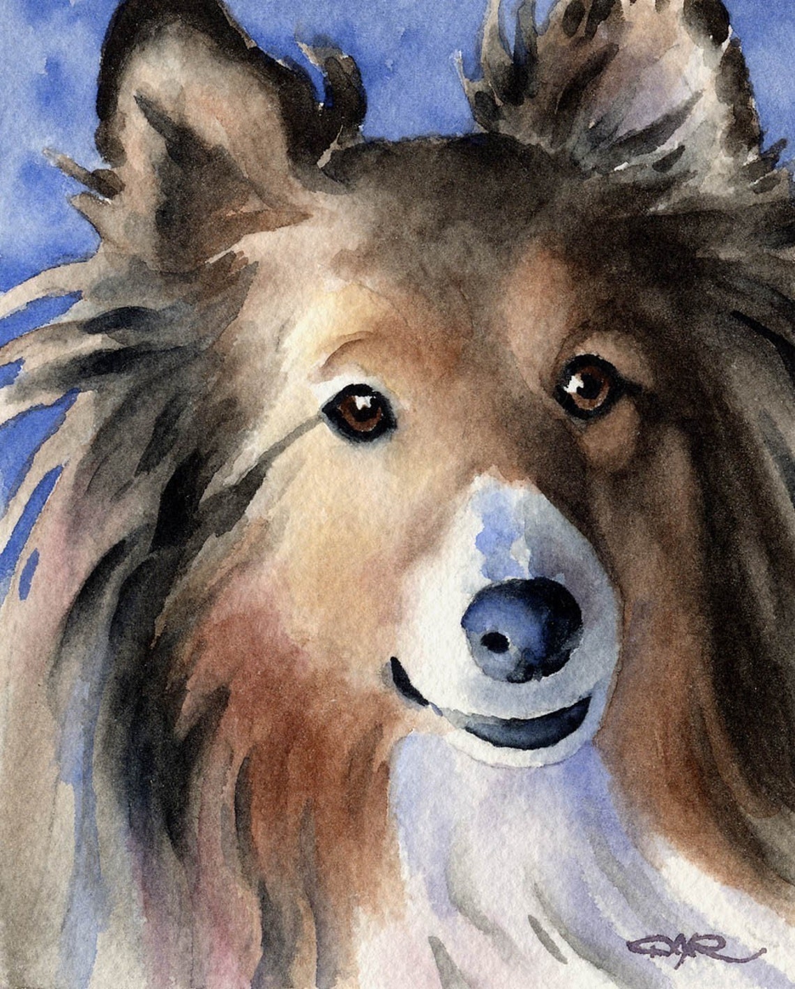 Shetland Sheepdog Art Print by Artist DJ Rogers Sheltie Art | Etsy