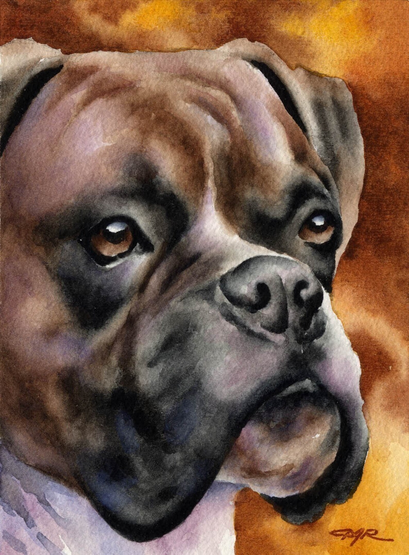 BOXER Art Print by Watercolor Artist DJ Rogers - Etsy