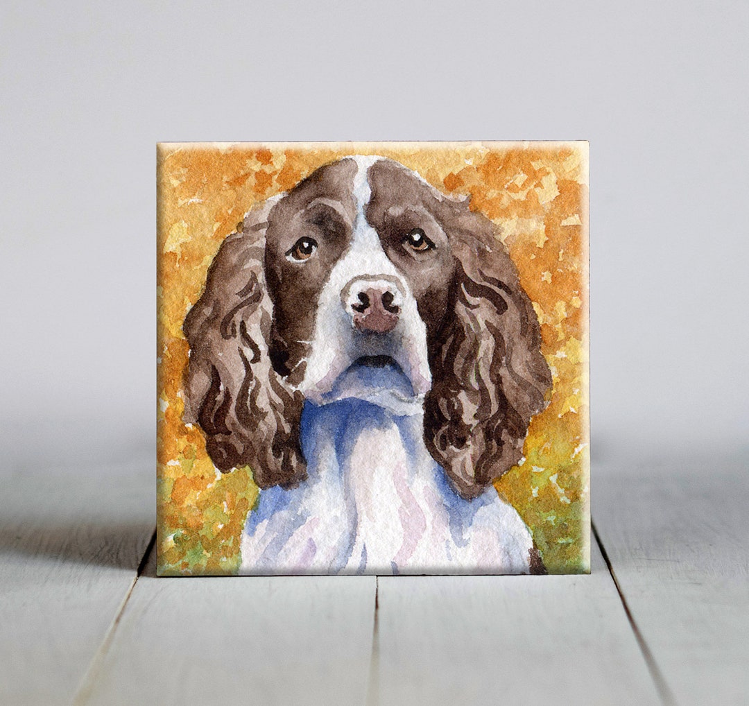 Springer Spaniel Ceramic Tile Springer Spaniel Decorative - Etsy
