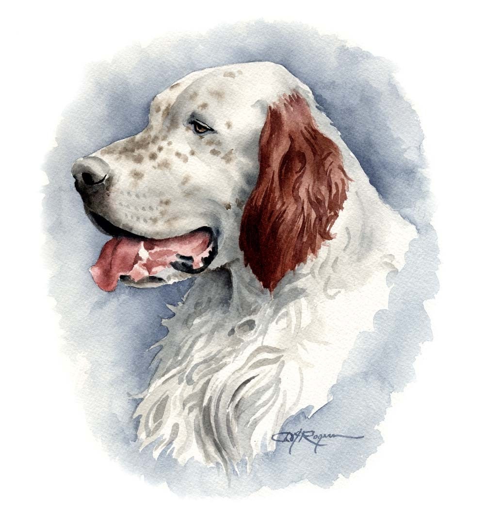 ENGLISH SETTER Dog Art Print by Artist DJ Rogers - Etsy