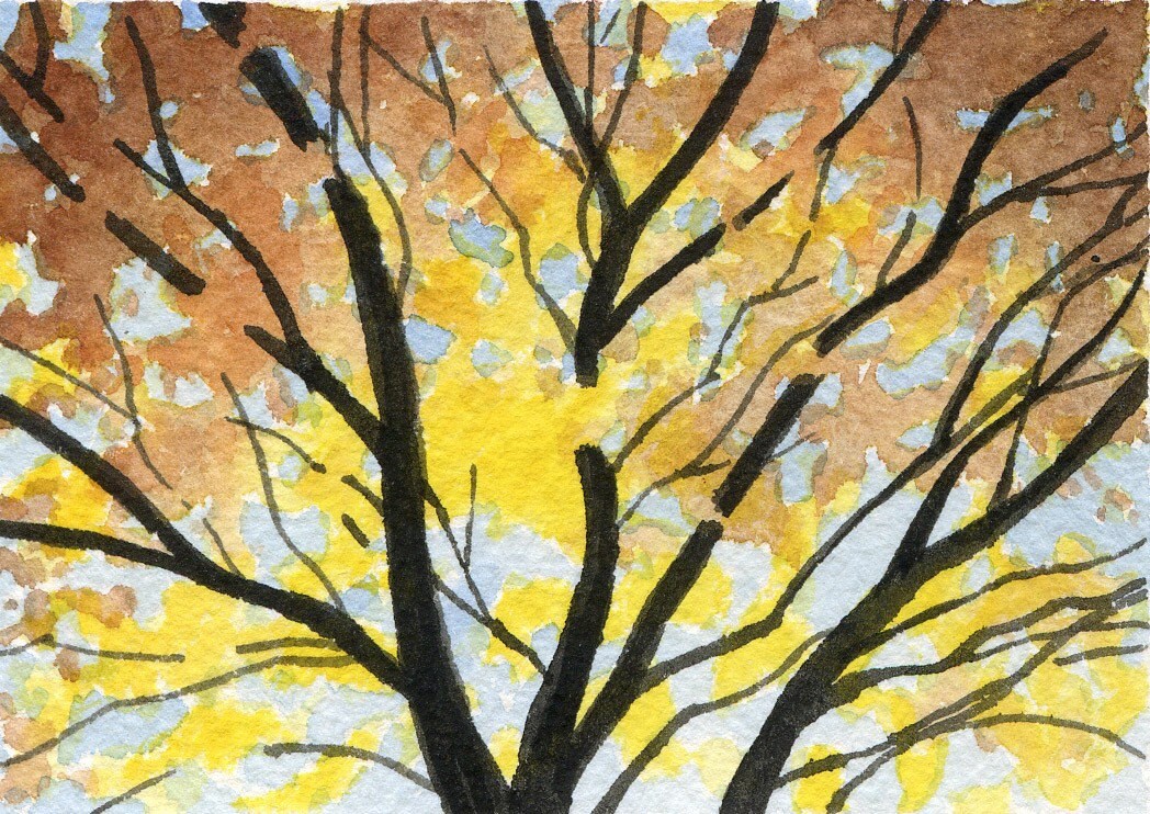 TREE / CHANGING COLORS Watercolor Fine Art Print by Artist D - Etsy