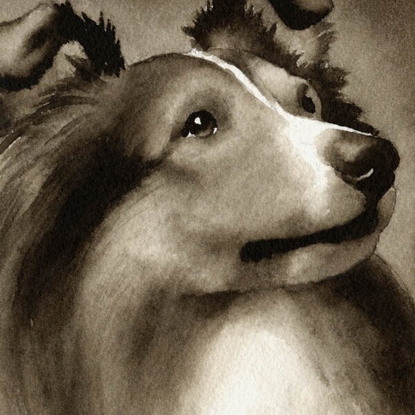 Sheltie Art Print - Etsy