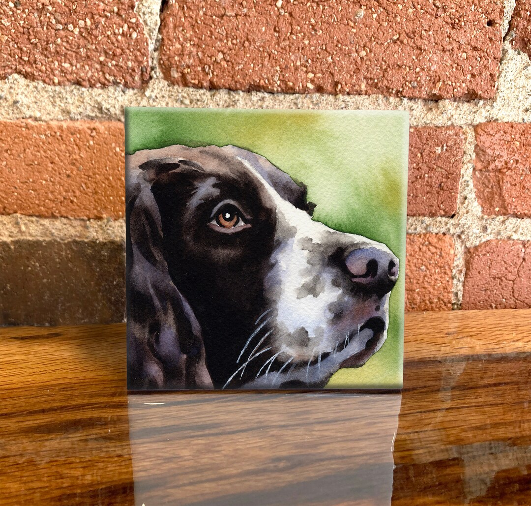 Springer Spaniel Ceramic Tile - Springer Spaniel Decorative Tile - Dog ...