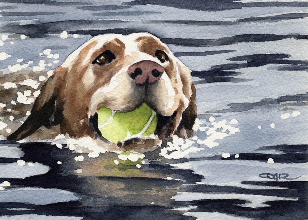 LABRADOR RETRIEVER Art Print by Artist DJ Rogers - Etsy