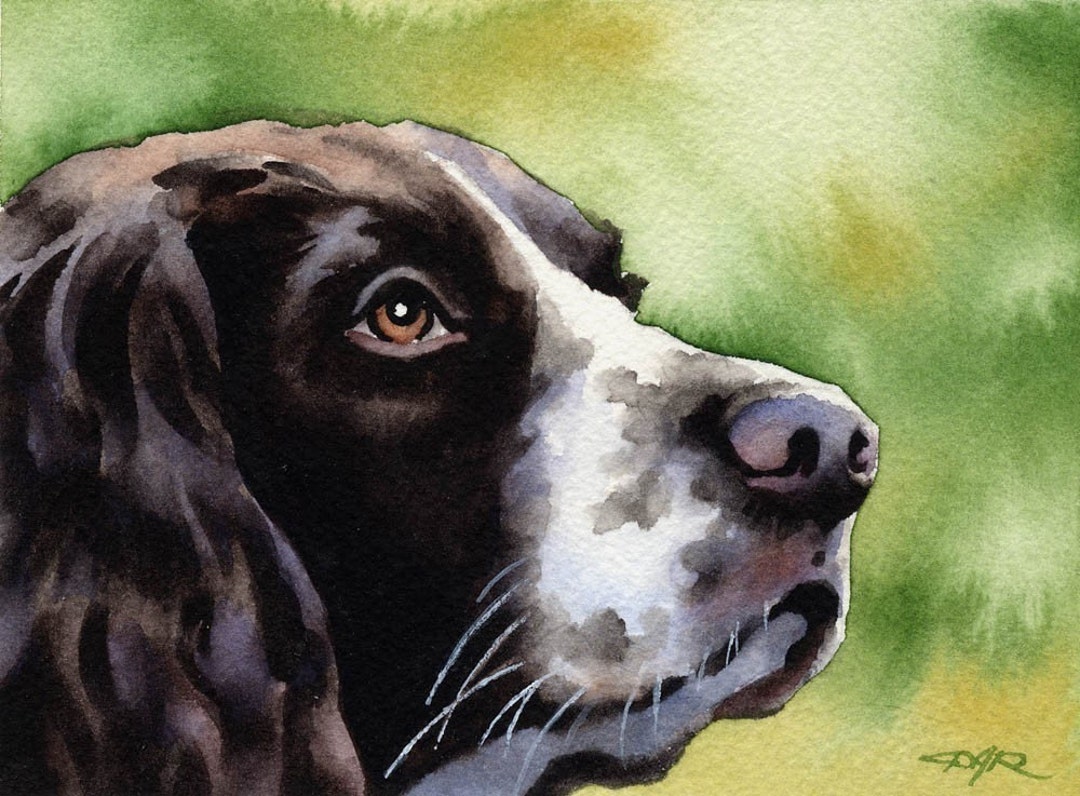 SPRINGER SPANIEL Art Print by Artist DJ Rogers - Etsy