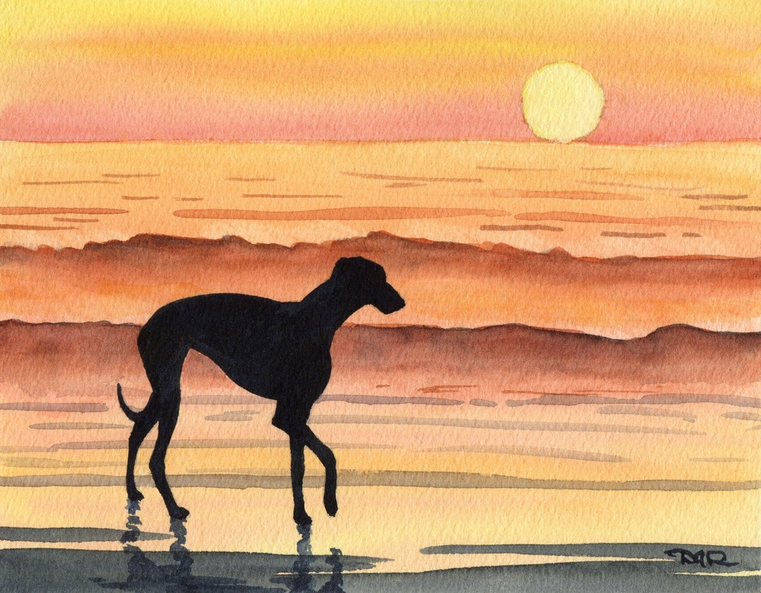 GREYHOUND SUNSET Dog Watercolor Art Print by Artist DJ Rogers - Etsy