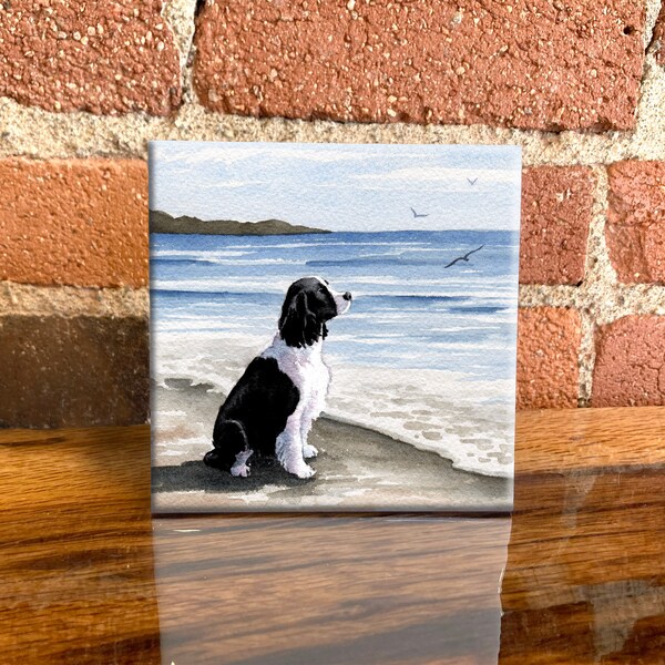 Springer Spaniel - Etsy
