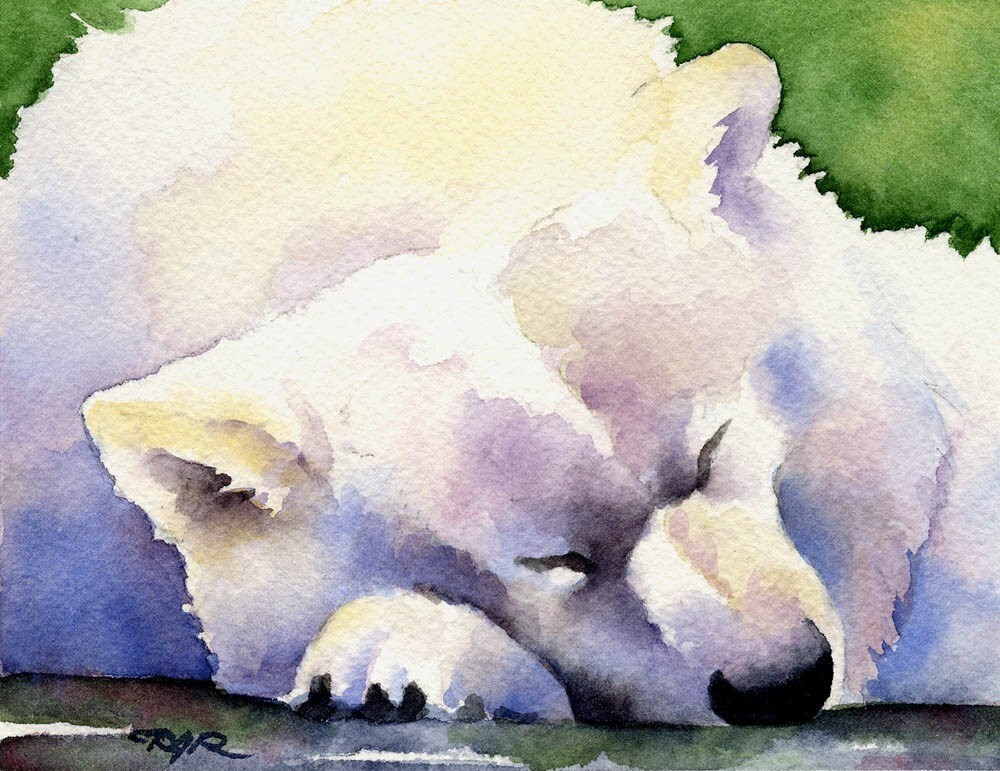 SAMOYED Art Print by Watercolor Artist DJ Rogers - Etsy