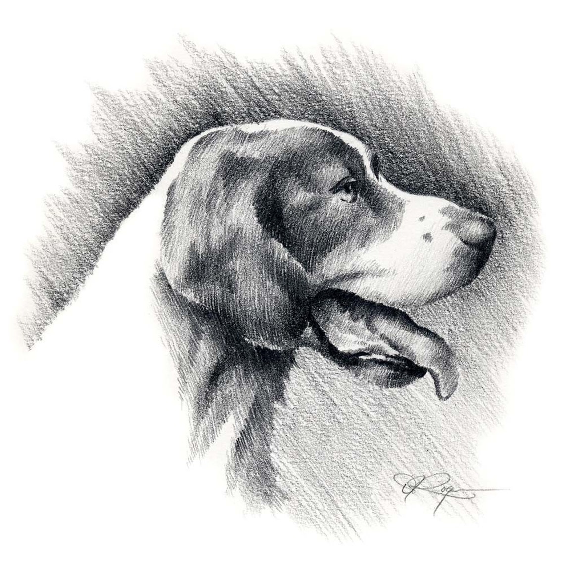 IRISH SETTER Dog Art Print Pencil Drawing by Artist DJ Rogers - Etsy