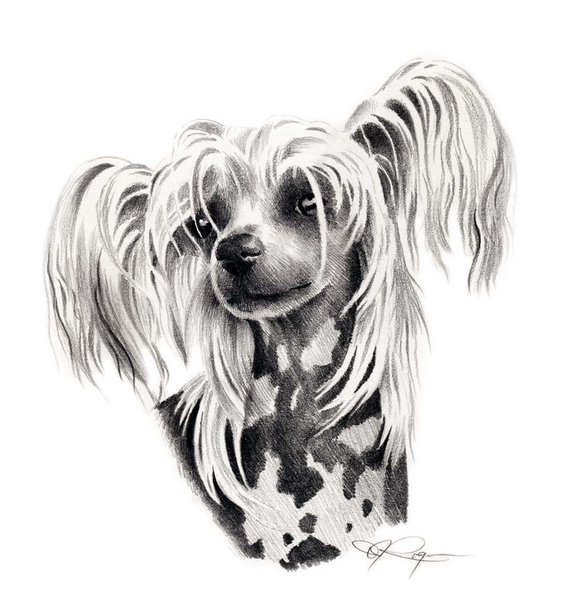 CHINESE CRESTED Dog Art Print by Artist DJ Rogers | Etsy
