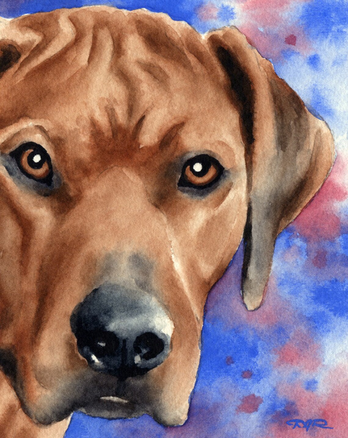 RHODESIAN RIDGEBACK Art Print Watercolor Painting by Artist DJ | Etsy