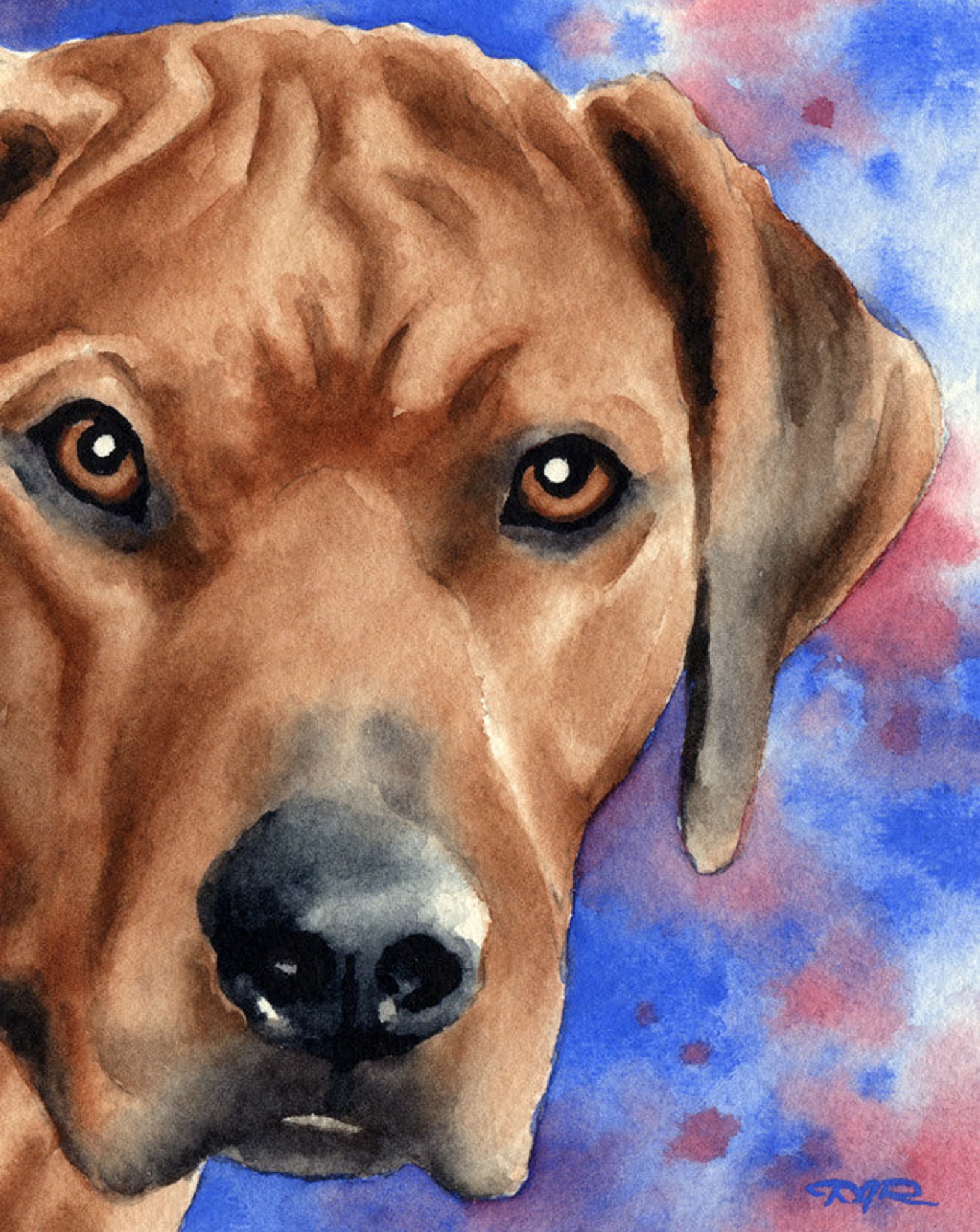 RHODESIAN RIDGEBACK Art Print Watercolor Painting by Artist DJ | Etsy