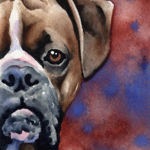 WHITE BOXER Art Print by Watercolor Artist DJ Rogers | Etsy