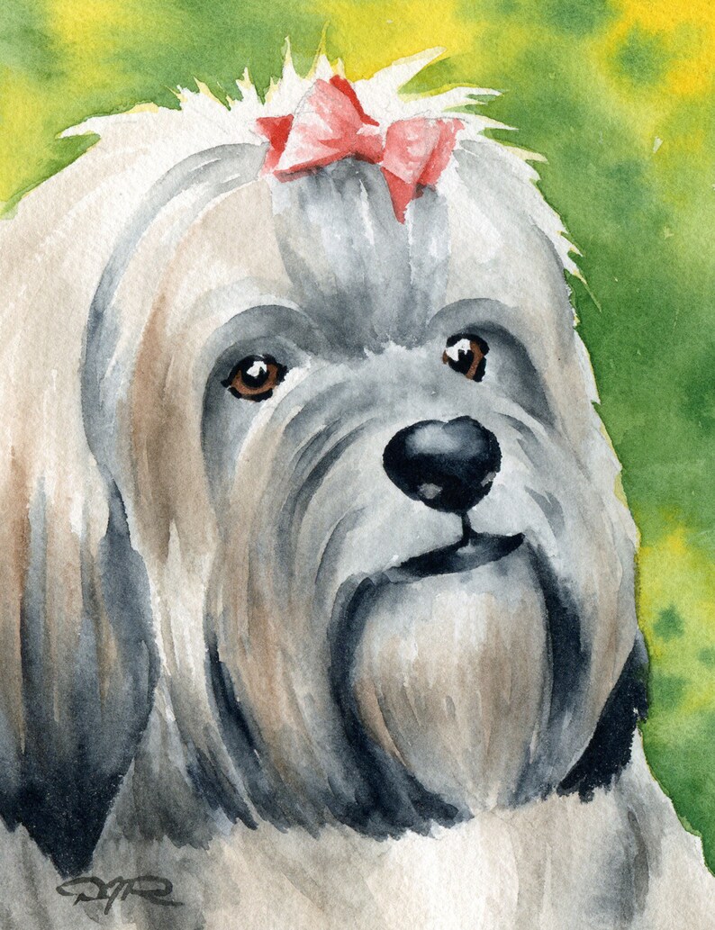 LHASA APSO Art Print Watercolor by Artist DJ Rogers | Etsy