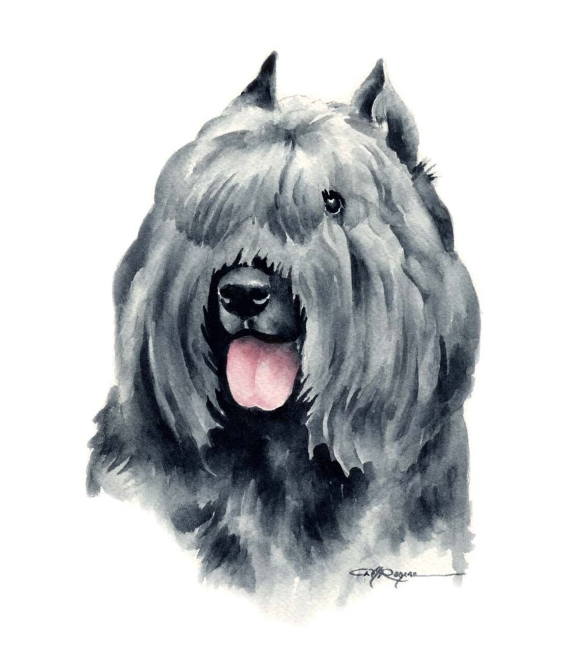 BOUVIER DES FLANDRES Dog Art Print by Artist D J Rogers - Etsy