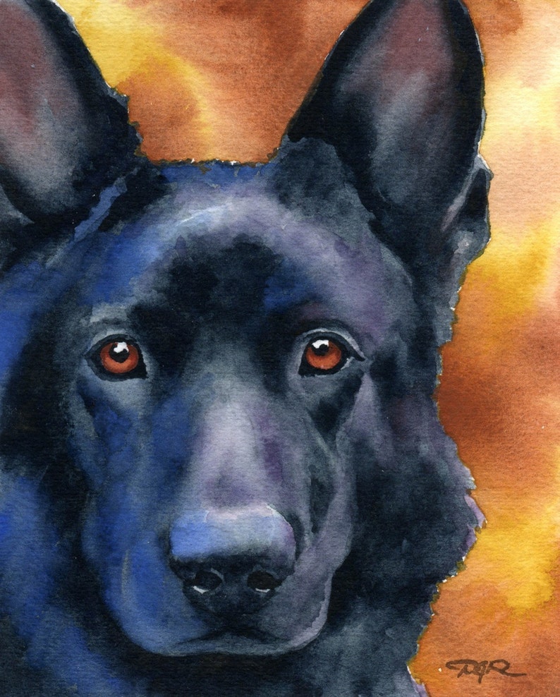 BLACK GERMAN SHEPHERD Art Print by Artist D J Rogers - Etsy Australia