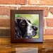 Springer Spaniel Ceramic Tile Springer Spaniel Decorative Tile Dog ...