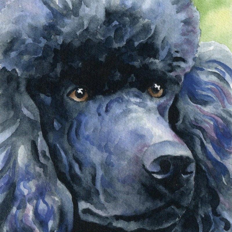 Blue Poodles - Etsy
