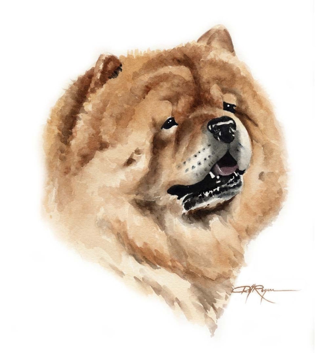Chow Chow Art Print by Watercolor Artist DJ Rogers - Etsy