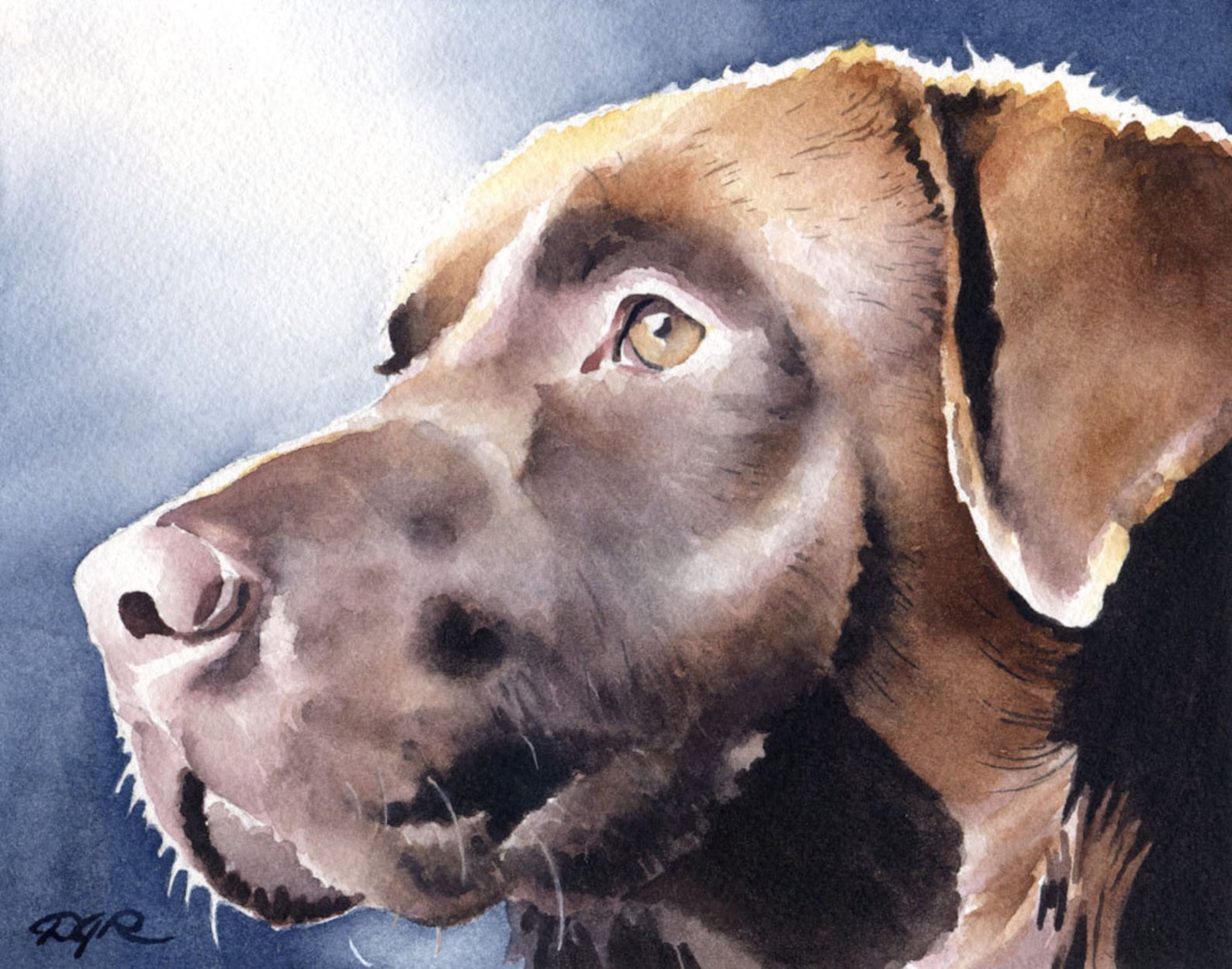 CHOCOLATE LAB Art Print by Watercolor Artist DJ Rogers - Etsy