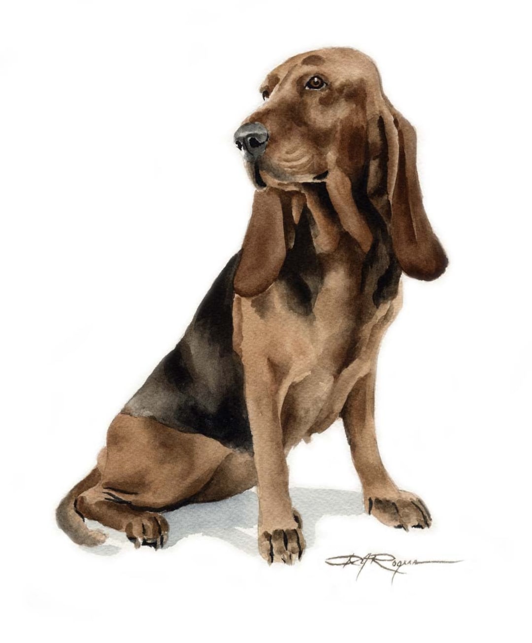 BRUNO JURA HOUND Dog Art Print by Watercolor Artist D J Rogers - Etsy