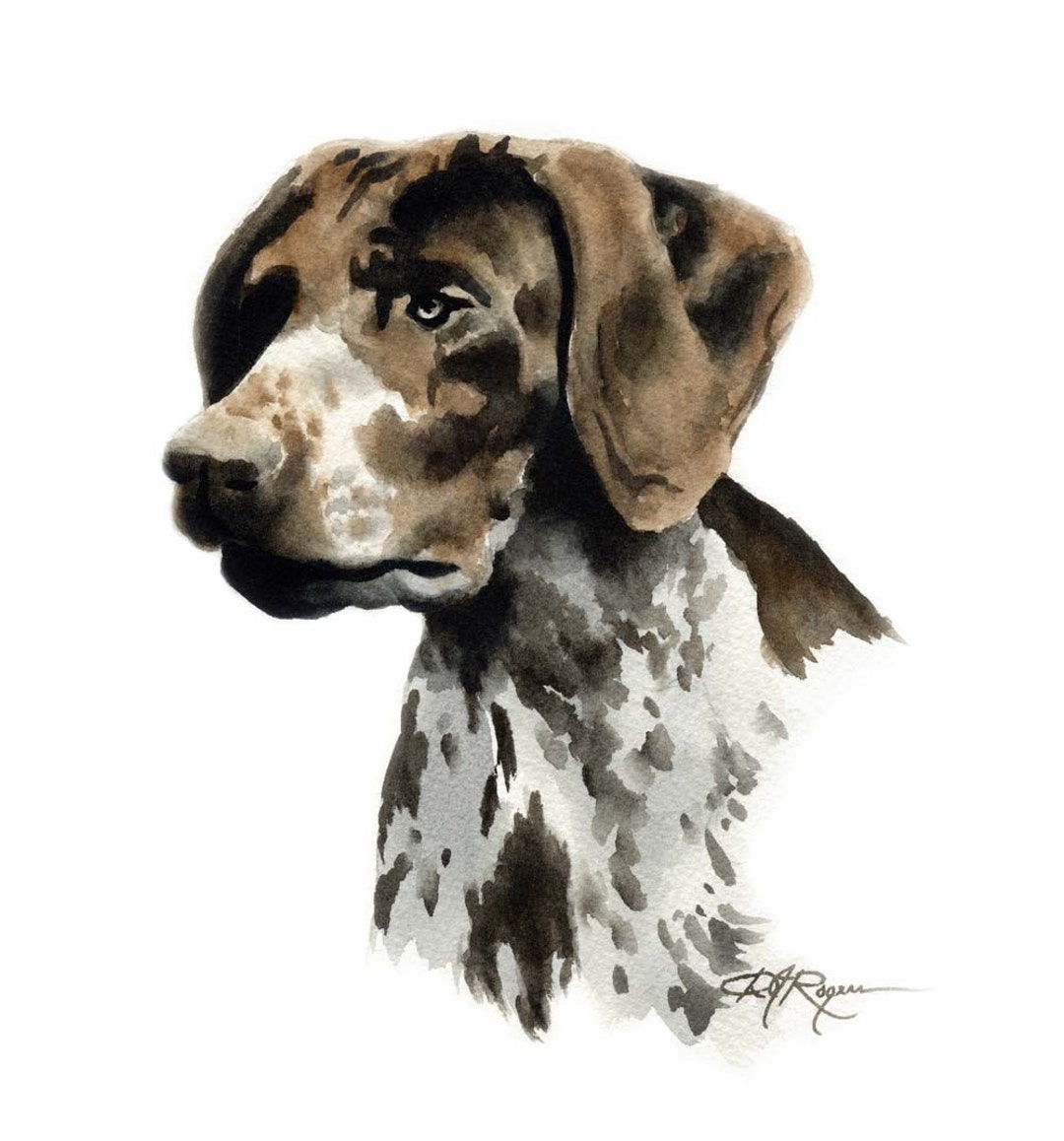 German Short Haired Pointer Dog Art Print by Artist DJ Rogers - Etsy