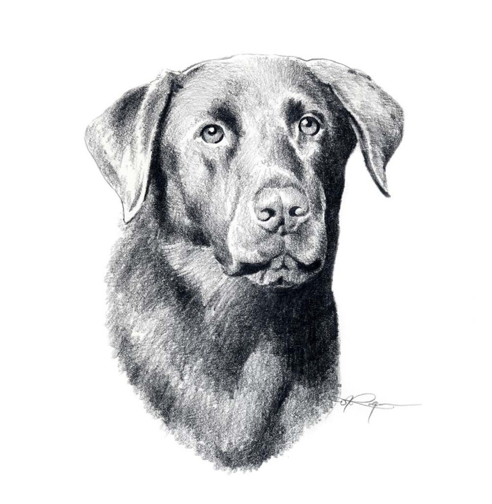 CHOCOLATE LAB Labrador Dog Art Print by Artist DJ Rogers - Etsy