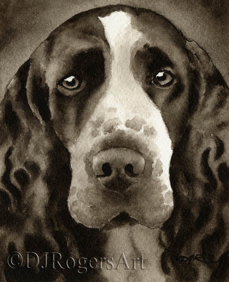 SPRINGER SPANIEL Sepia Art Print by Watercolor Artist DJ - Etsy