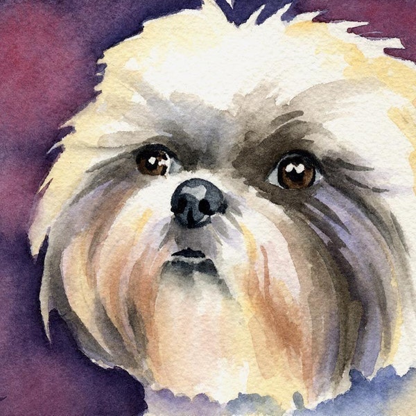Shih Tzu Painting - Etsy