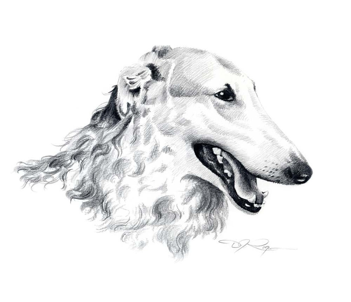 BORZOI Dog Art Print by Artist DJ Rogers | Etsy