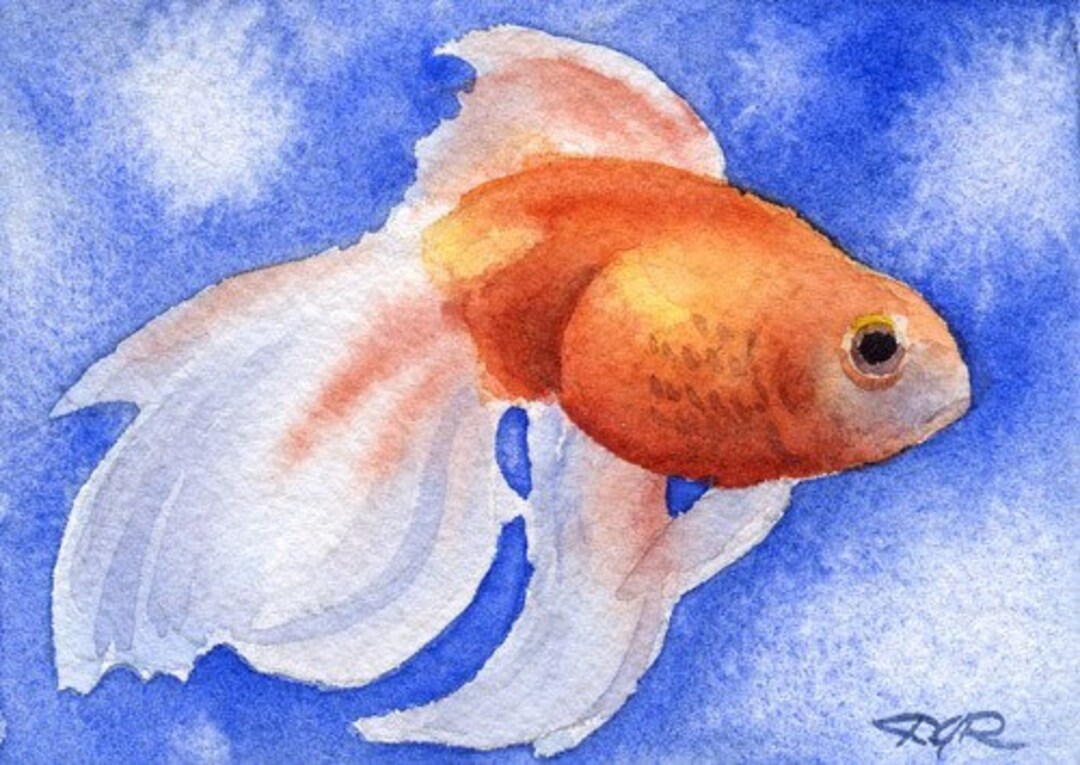 FANCY GOLDFISH Watercolor Signed Fine Art Print by Artist DJ Rogers - Etsy