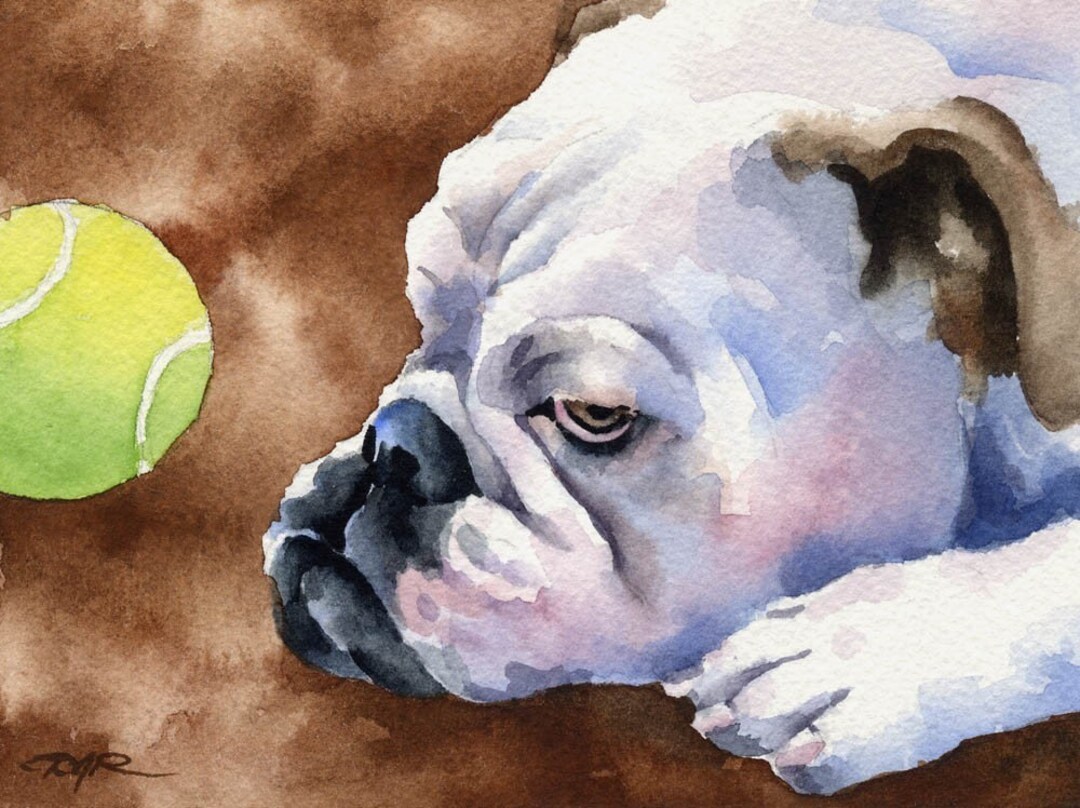 BULLDOG Art Print by Watercolor Artist DJ Rogers - Etsy