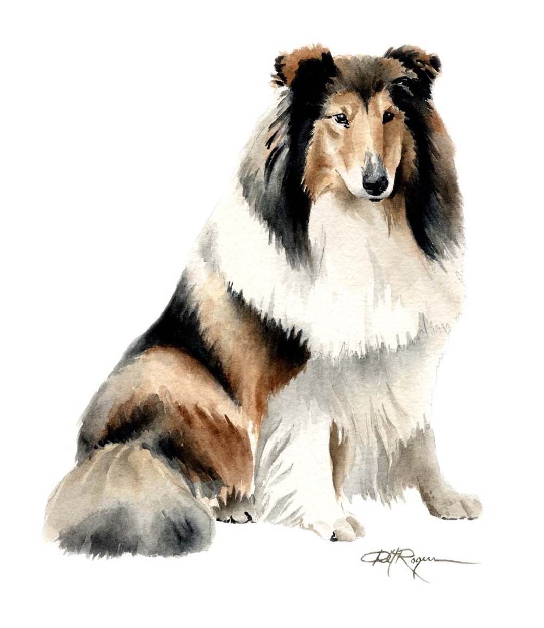 COLLIE Art Print by Artist DJ Rogers - Etsy