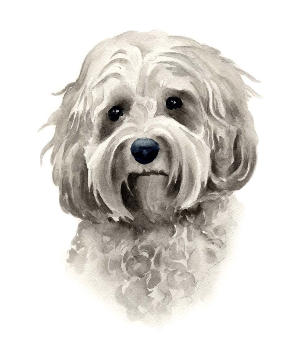 Cockapoo Art Print by Watercolor Artist DJ Rogers - Etsy