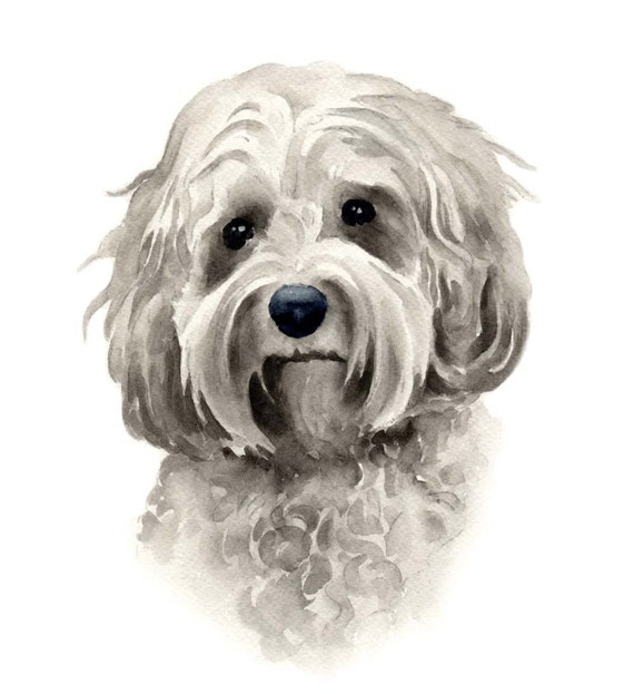 Cockapoo Art Print by Watercolor Artist DJ Rogers - Etsy