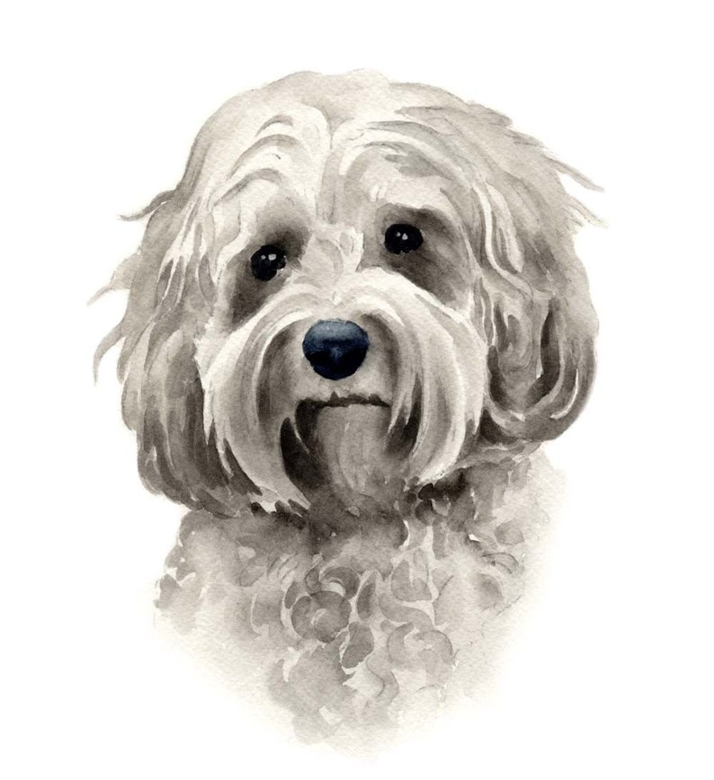 Cockapoo Art Print by Watercolor Artist DJ Rogers - Etsy Australia
