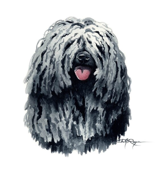 Puli Art Print Painting by Watercolor Artist DJ Rogers | Etsy