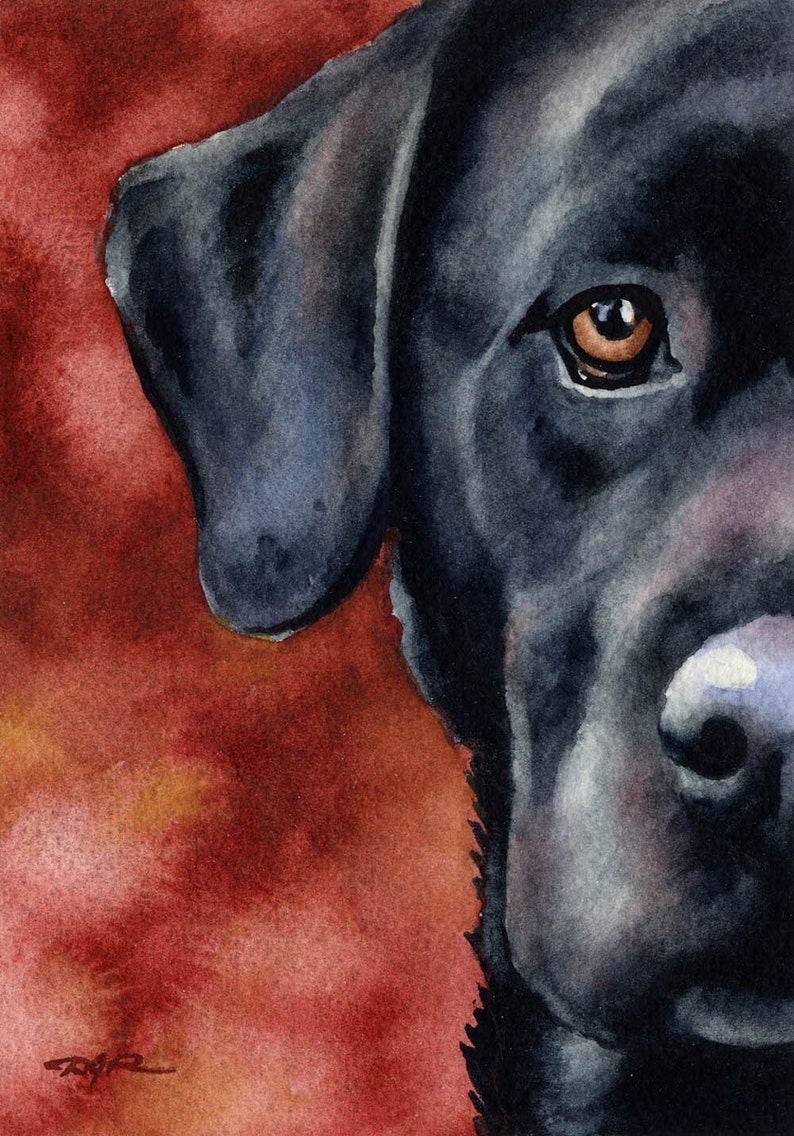 BLACK LAB Art Print by Watercolor Artist DJ Rogers | Etsy