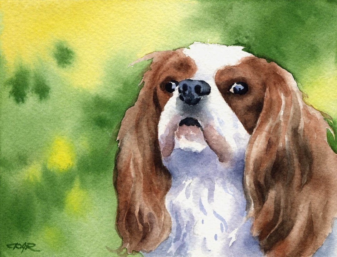 CAVALIER KING CHARLES Spaniel Dog Art Print by Artist D J Rogers - Etsy