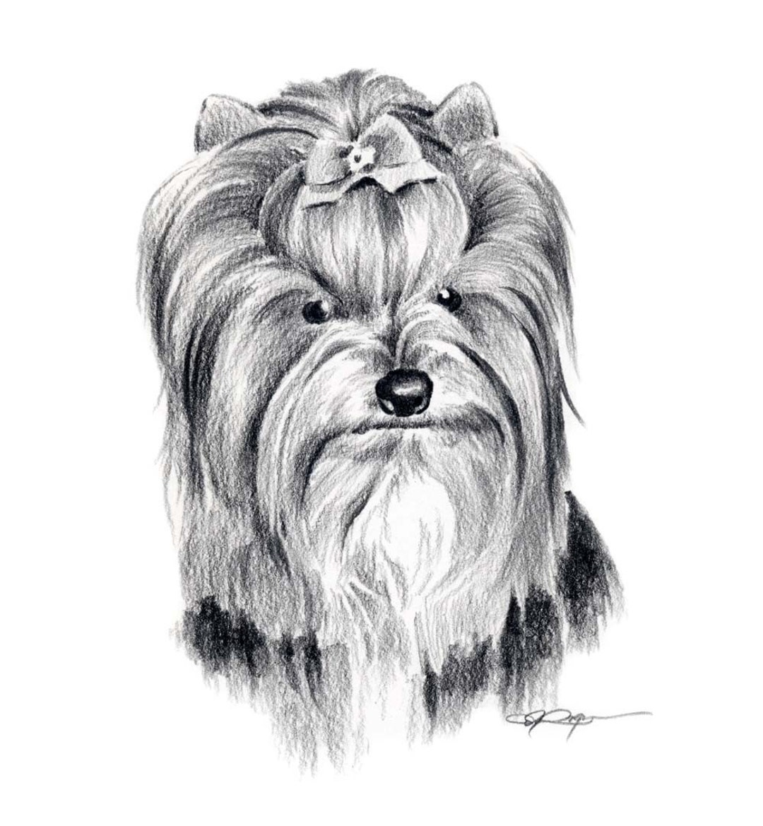 BIEWER Art Print Pencil Drawing by Artist DJ Rogers - Etsy