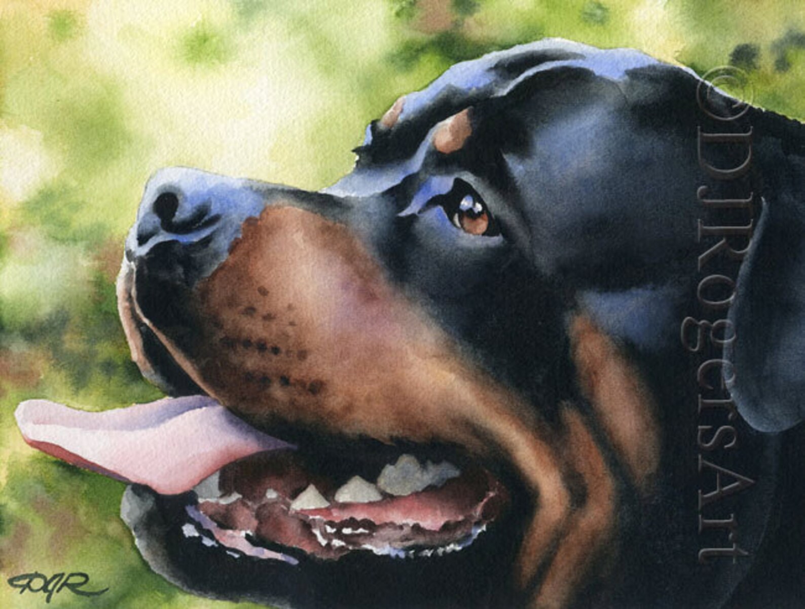 ROTTWEILER Art Print by Watercolor Artist DJ Rogers - Etsy