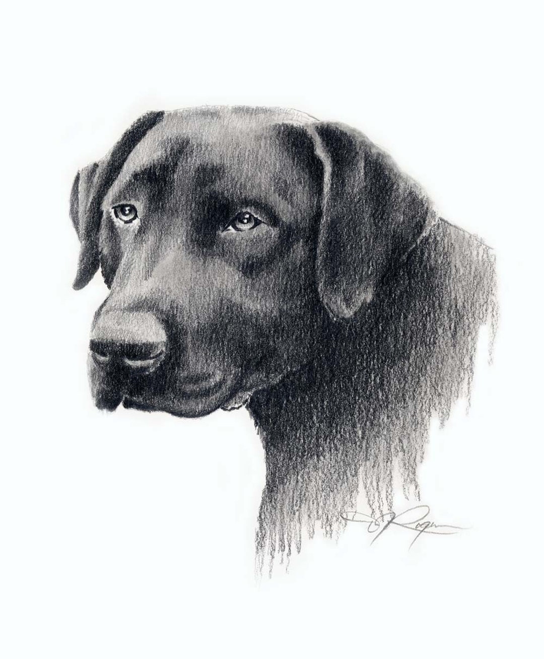 BLACK LAB Drawing Labrador Dog Art Print by Artist DJ Rogers - Etsy