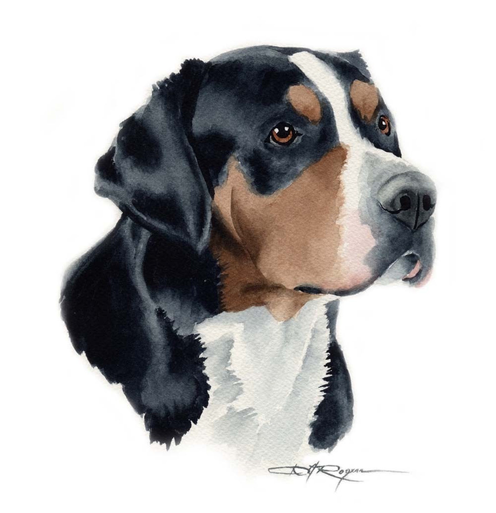 GREATER SWISS MOUNTAIN Dog Art Print by Artist D J Rogers | Etsy