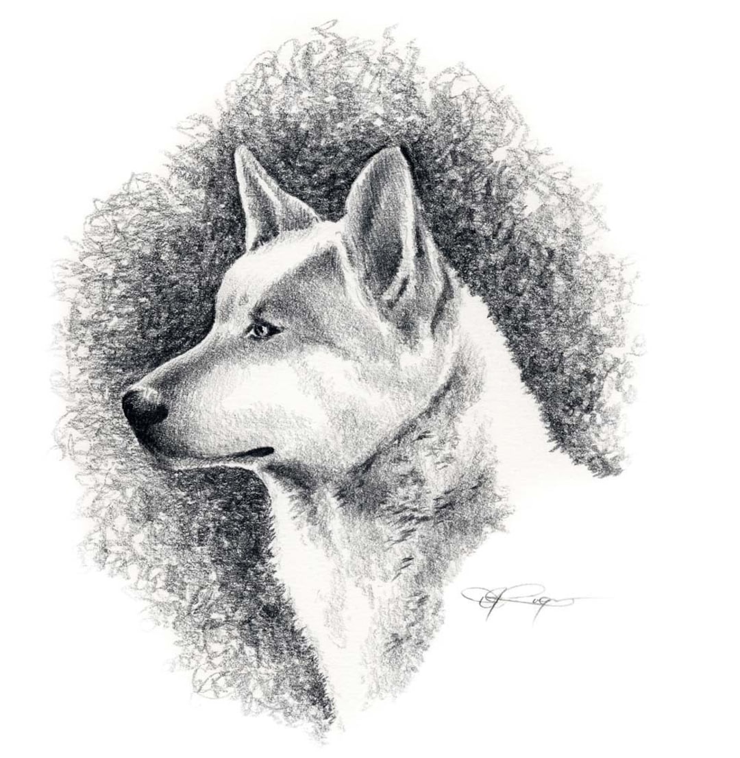 CANAAN DOG Art Print by Artist DJ Rogers - Etsy