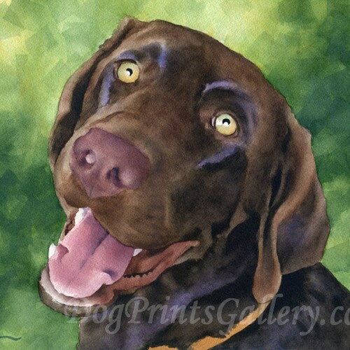 CHOCOLATE LAB Art Print by Watercolor Artist DJ Rogers - Etsy