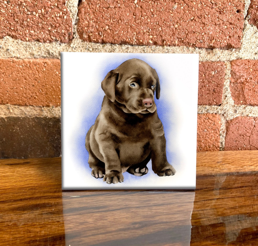 Chocolate Lab Puppy Ceramic Tile - Chocolate Labrador Decorative Tile ...