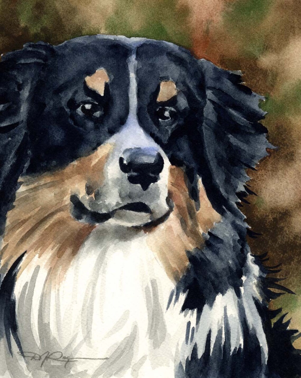 AUSTRALIAN SHEPHERD Art Print by Artist DJ Rogers | Etsy