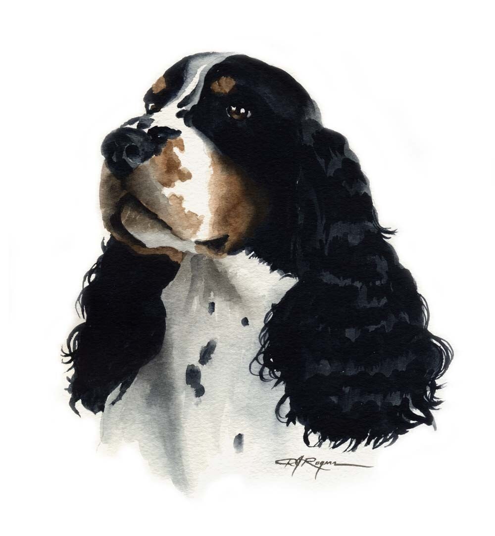 SPRINGER SPANIEL Dog Watercolor Painting Art Print by Artist | Etsy